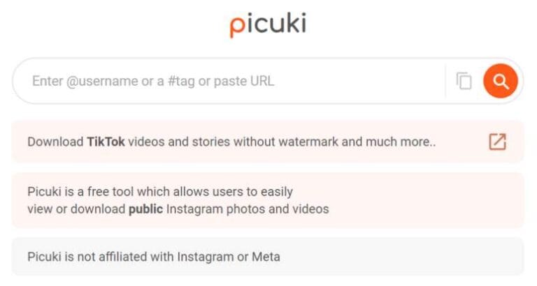 What Is Picuki, and How to Use It? The Ultimate Guide!